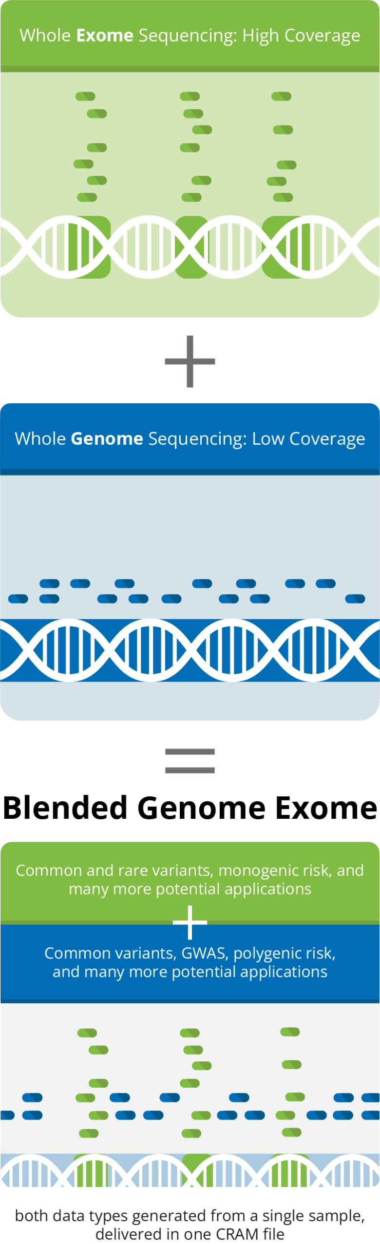Clinical Blended Genome-Exome Sequencing - Bullseye